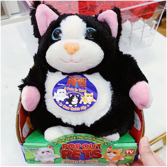 Pop Out Pets | Toys | Pop Out Pets Kittens Reversible Plush 3 Stuffed ...